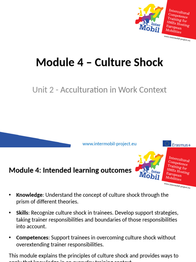 M4 - U2 - Acculturation in Work Context | PDF | Cultural Assimilation | Multiculturalism