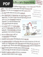 AQA GCSE Biology: Enzyme pH Practical | PDF | Ph | Enzyme