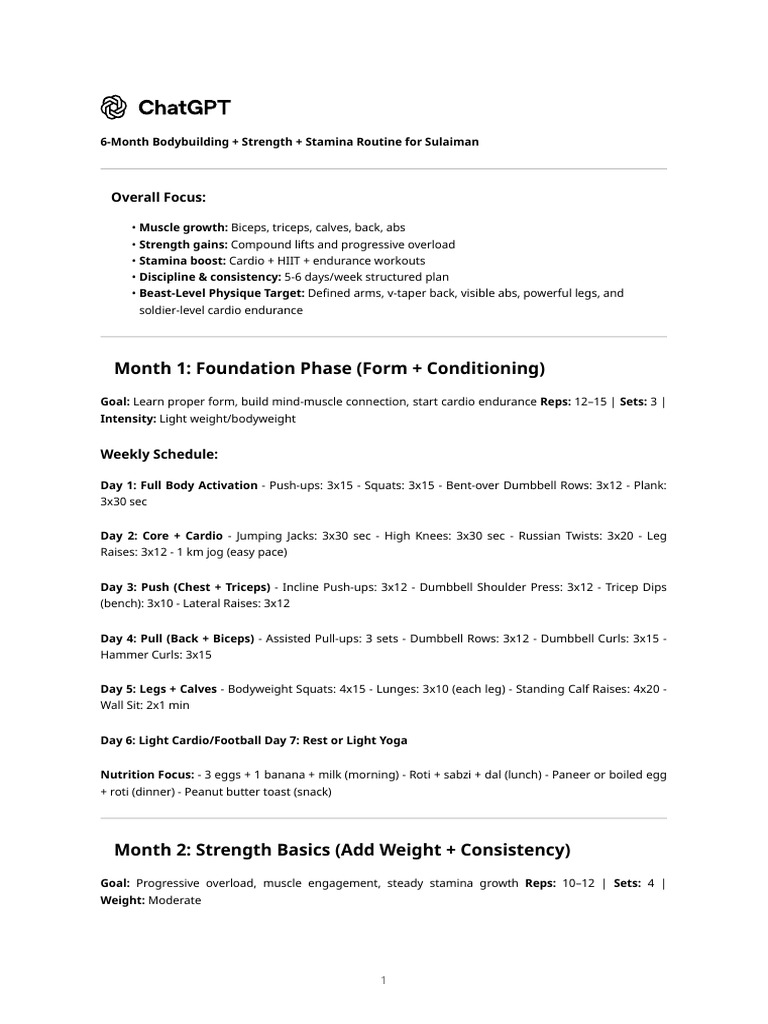 6-Month Fitness Plan for Strength and Stamina | PDF | Strength Training ...