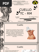 Fascias del Cuello: Estructura y Función | PDF | Sistema ...