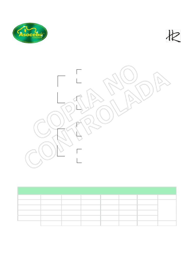 527-24 HDR MR Rip The Great - MBR1476116 | PDF