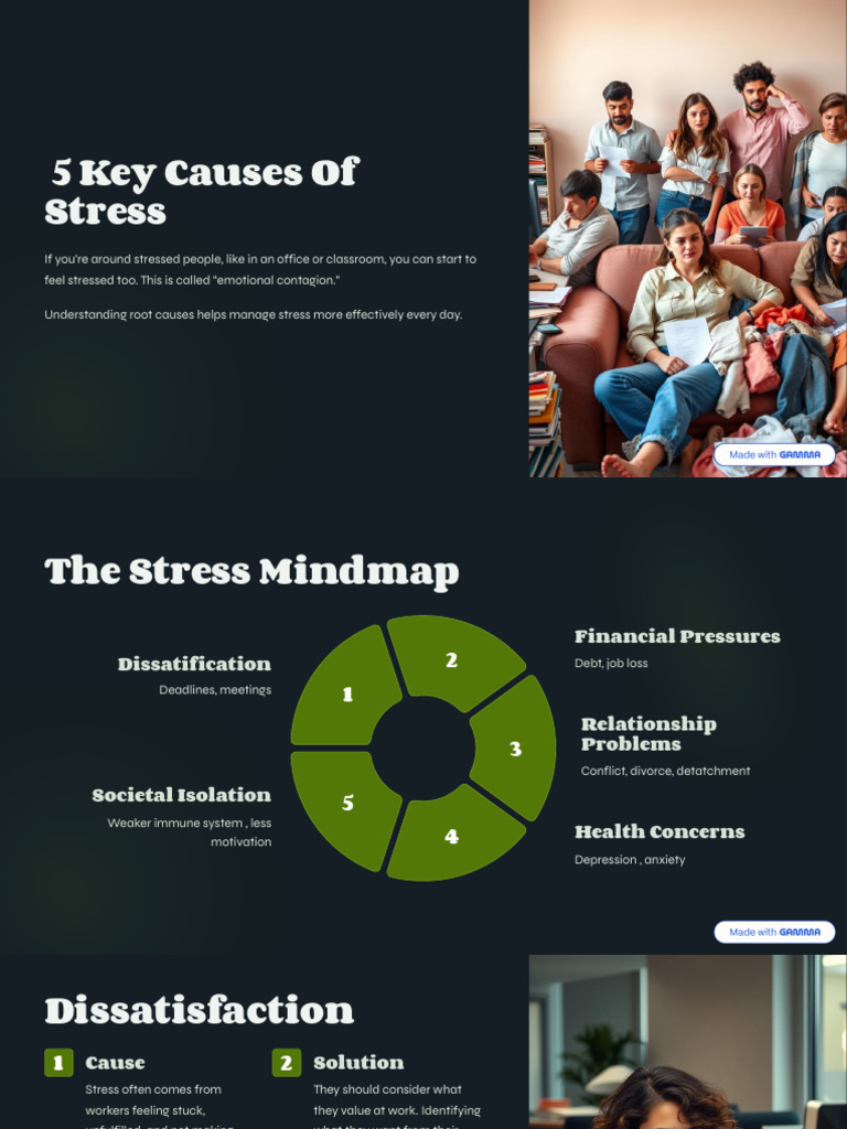 5 Key Causes of Stress | PDF