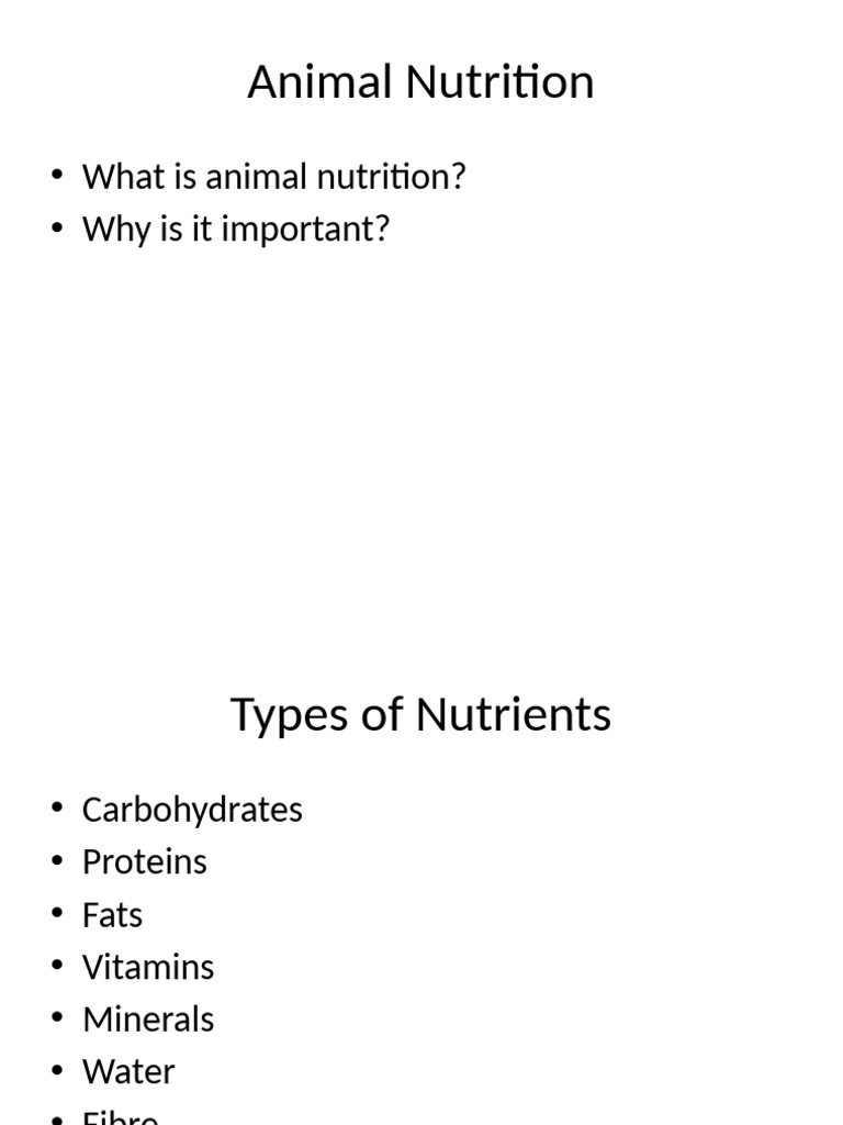 Essential Guide to Animal Nutrition | PDF