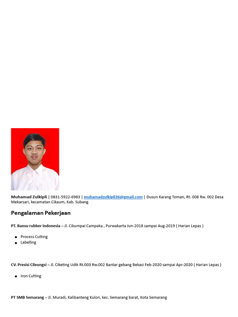 CV-M Zulkipli | PDF