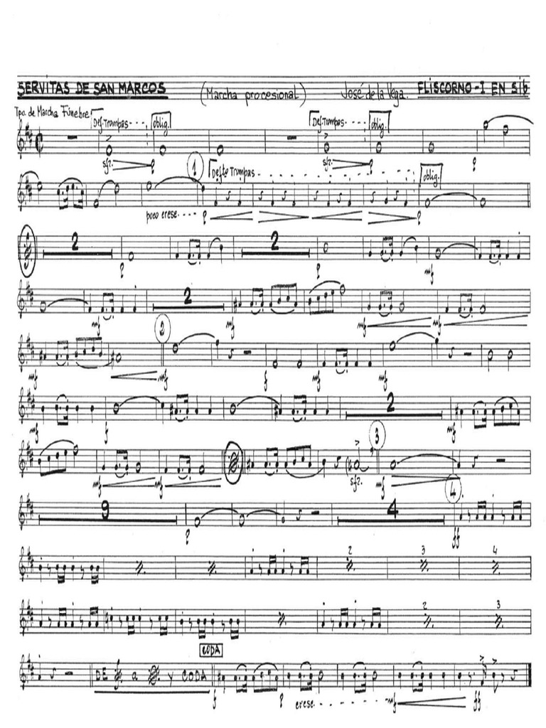 Servitas de Sanmarcos | PDF