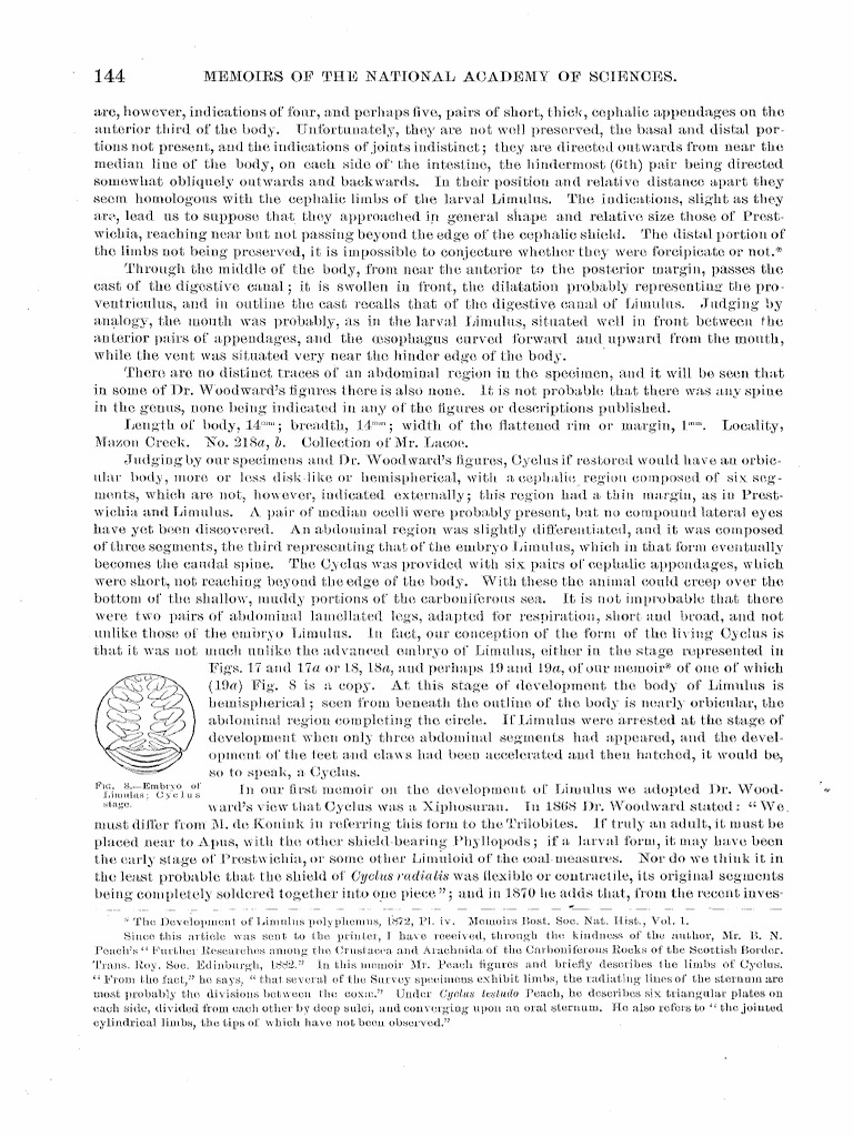 Morphology of Cyclus Radialis Specimen | PDF