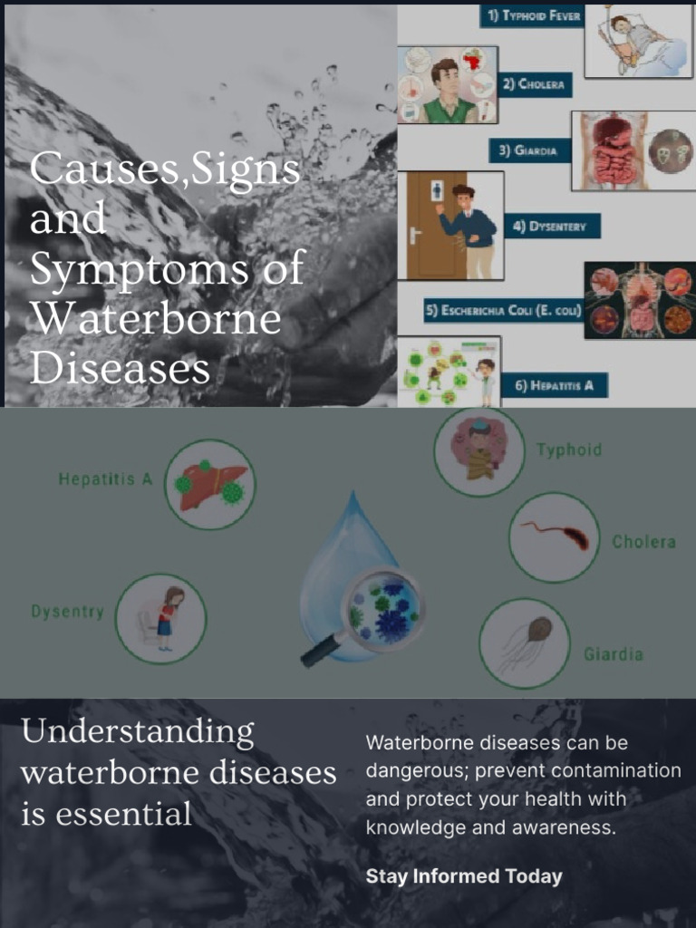Poster - Causes and Symptoms of Waterborne Diseases - 20250617 - 204602 ...