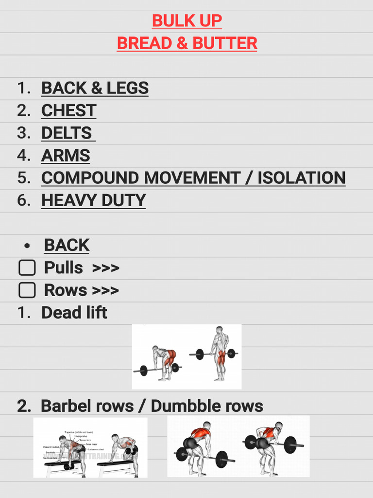 Latihan Bulking - 2025 | PDF