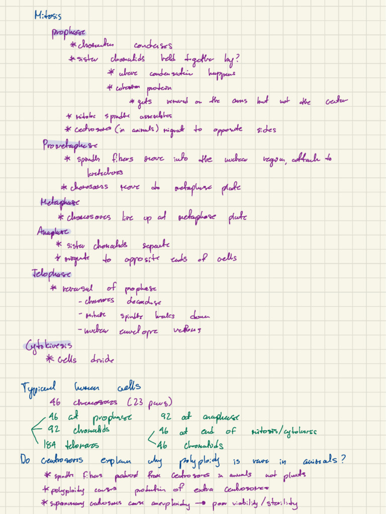 Genes, Genetics and Genomes 2 | PDF | Mitosis | Genetics
