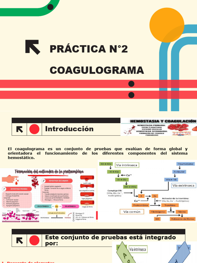 Práctica N2 Coagulograma 2025 | PDF