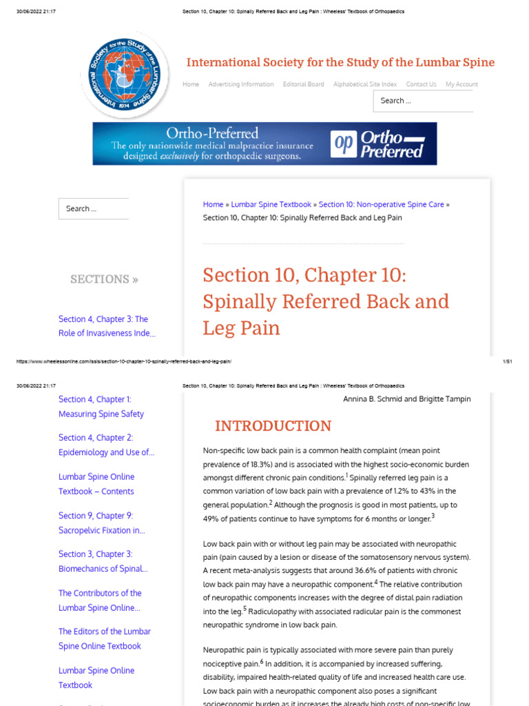 Spinally Referred Back and Leg Pain Guide | PDF | Pain | Peripheral ...
