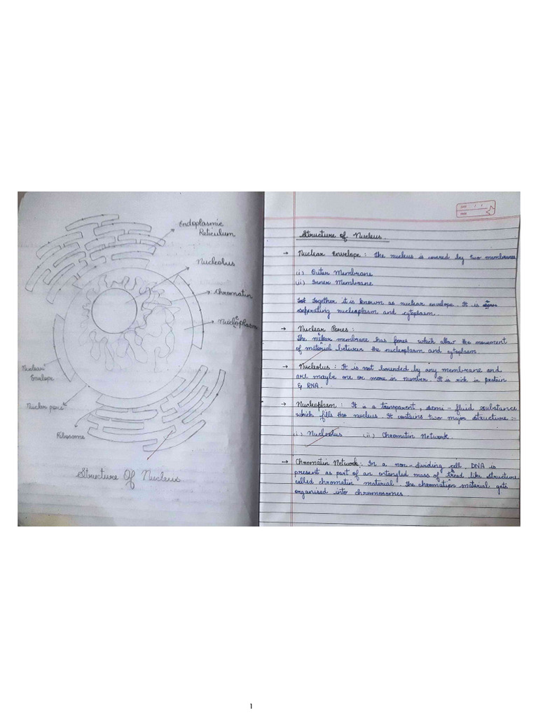 Biology Work | PDF