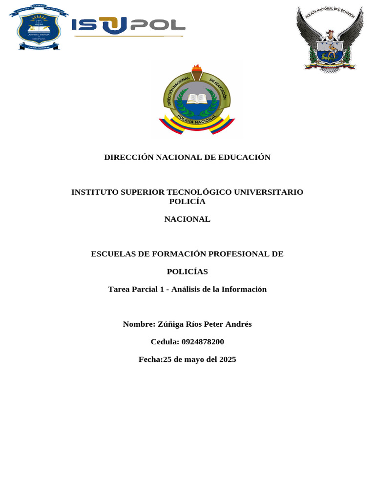 Zuñiga Peter Tarea Investigacion Analisis de La Informacion | PDF ...