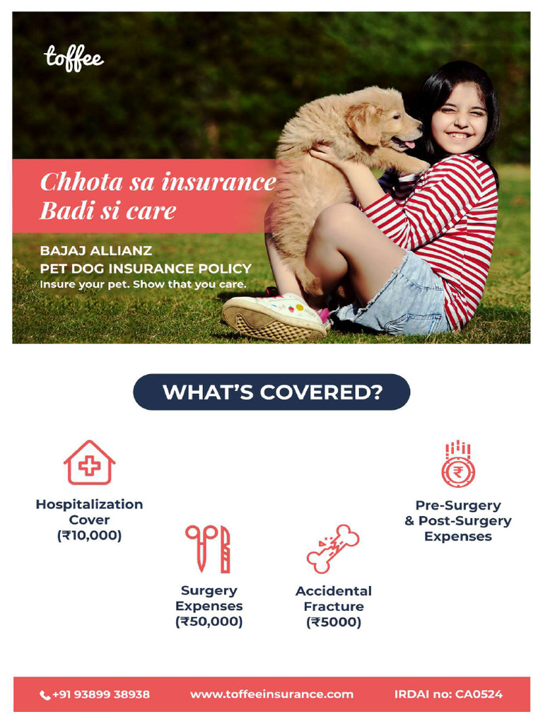 Dog Insurance Brochure | PDF