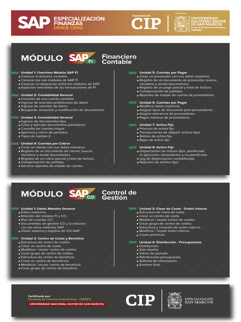 Sap Fico Temario | PDF | Contabilidad | Negocios económicos