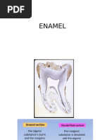 Enamel Structure and Microscopic Features | PDF | Tooth Enamel | Human ...