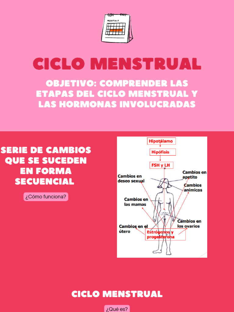 Ciclo Menstrual | PDF | Ciclo menstrual | Ovario