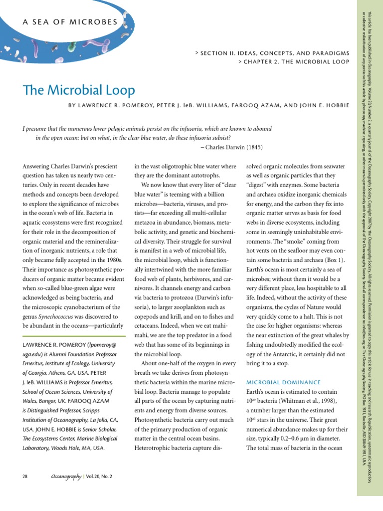 A Microbial Loop-Ocn Bio 1 | PDF | Bacteria | Archaea