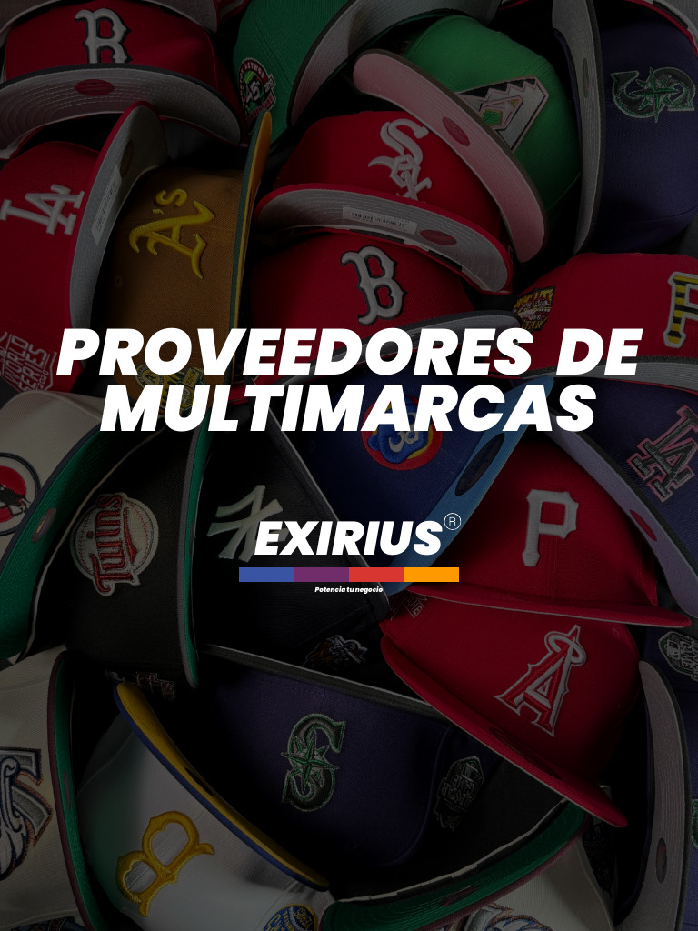 Exirius Provedores Multimarcas | PDF