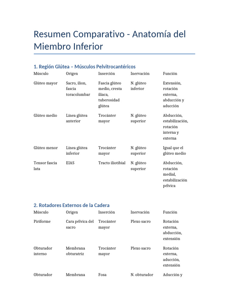 Resumen Anatomia Miembro Inferior | PDF | Sistema musculoesquelético | Anatomía del miembro inferior