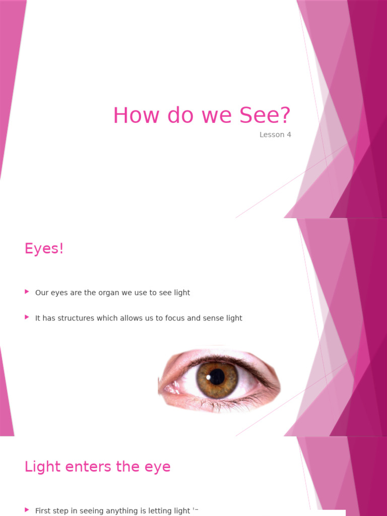 Understanding Eye Function and Vision | PDF | Eye | Human Eye