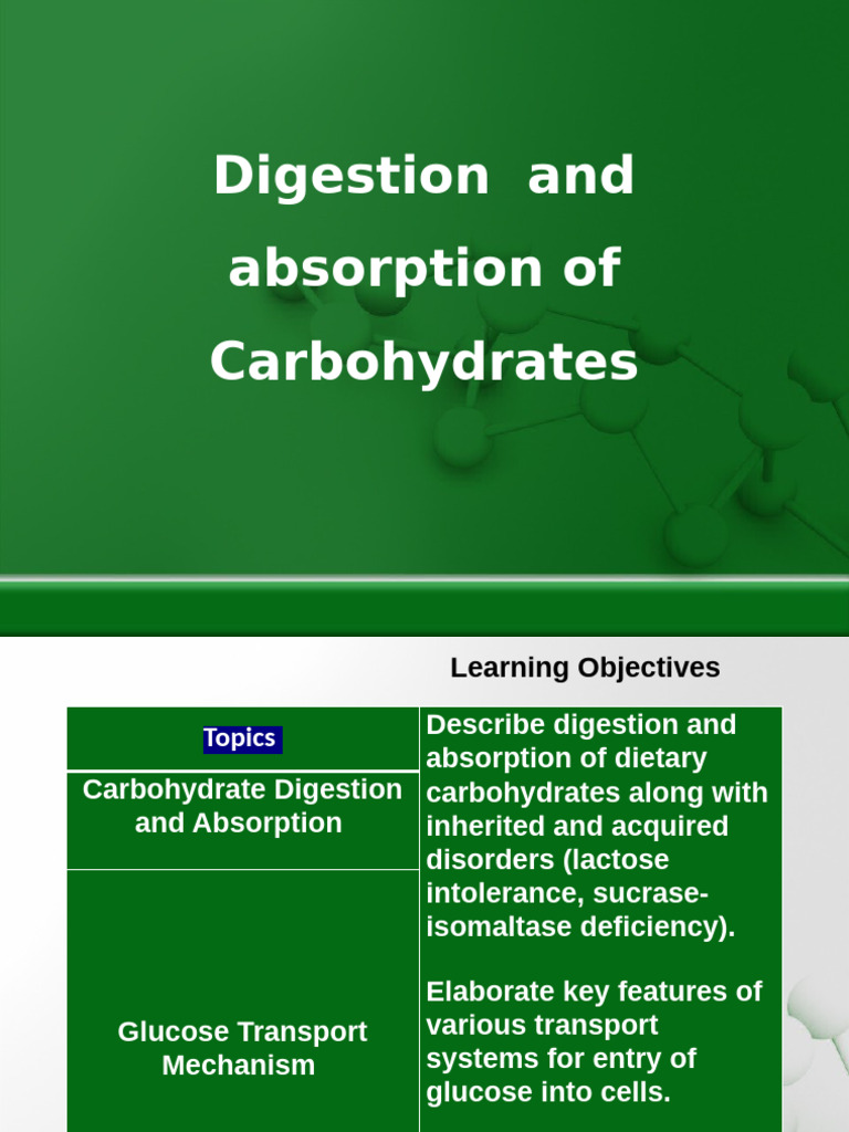 Digestion and Absorption of Carbohydrate | PDF | Digestion | Carbohydrates