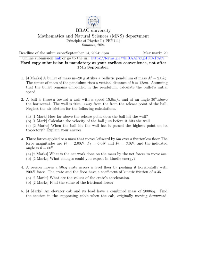 2024 Summer Mid Assessment | PDF