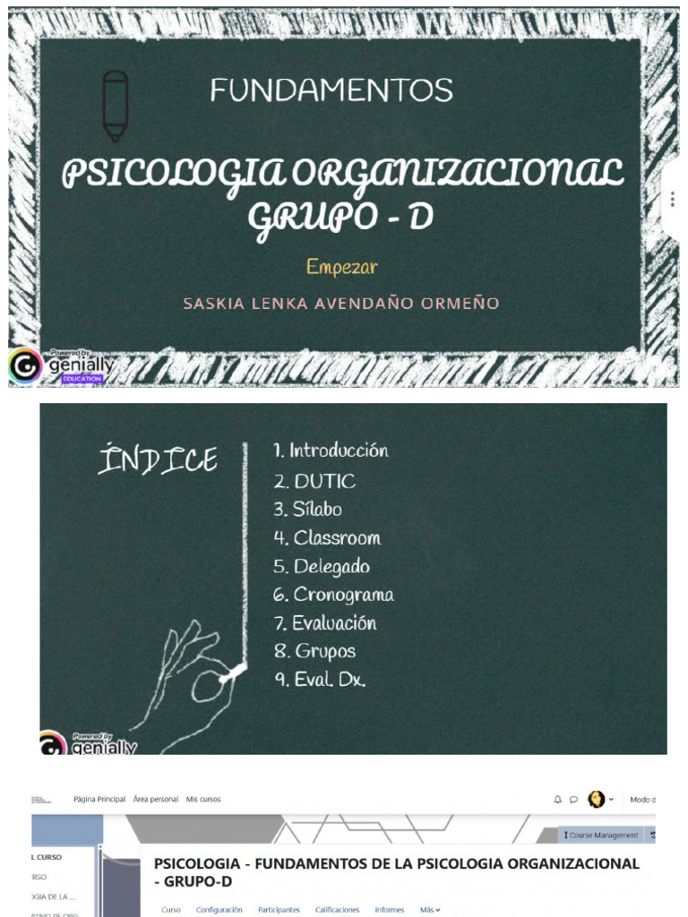 Presentación FPO 2025 CURSO | PDF