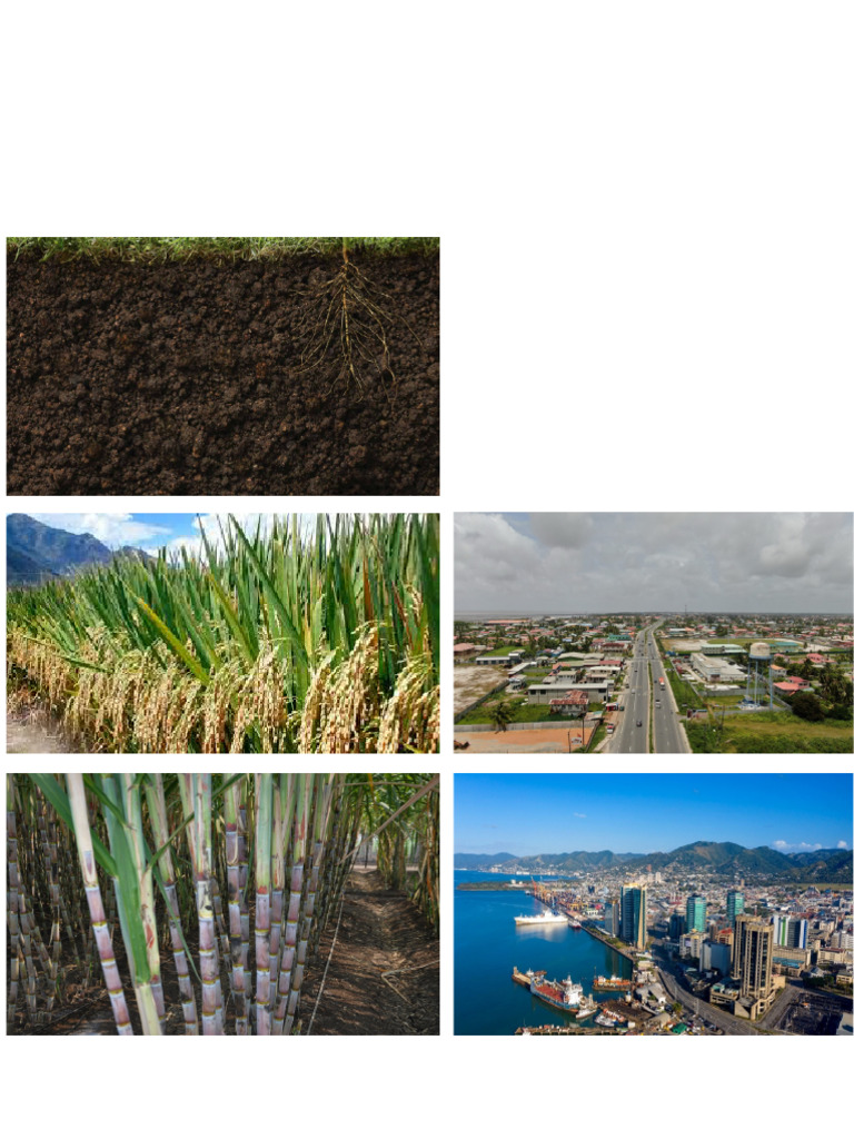 Document (GHBJ | PDF