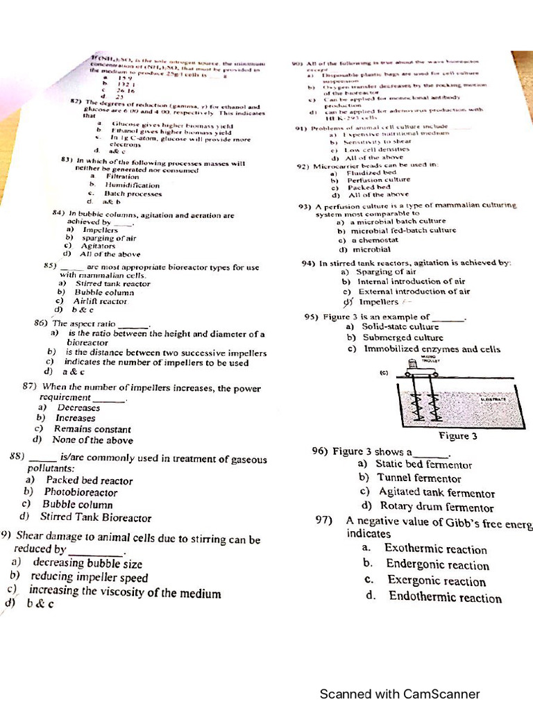 Fermentation Final | PDF