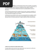Cadena Alimenticia Acuática y Niveles Tróficos | PDF | Red alimentaria ...