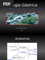 Gastrectomía Parcial | PDF | Estómago | Abdomen