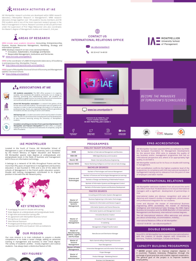 Iae Tryptique Anglais 2023 | PDF | Bachelor's Degree | Master Of Business Administration