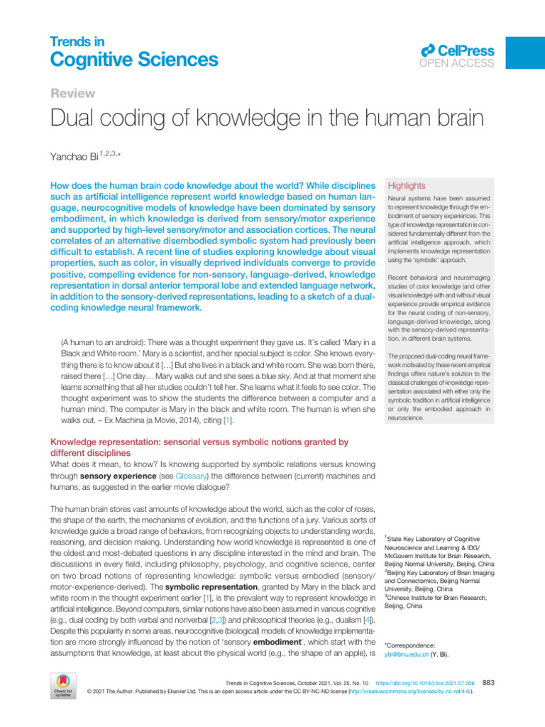 Dual Coding of Knowledge in The Human Brain | PDF | Perception | Experience