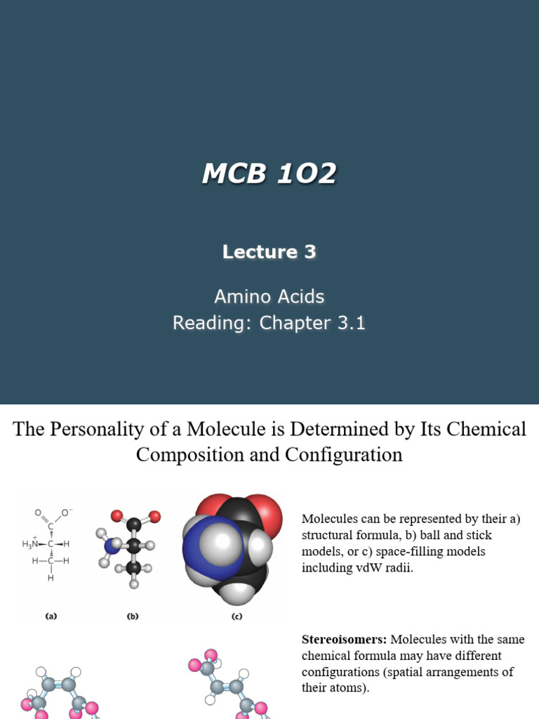 MCB 102 Yildiz Lecture 3 | PDF | Amino Acid | Isomer