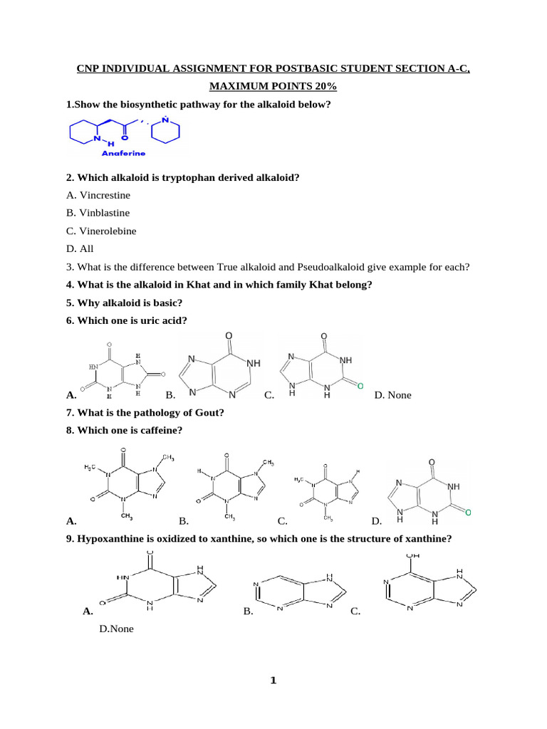 CNP Individual Assignment | PDF