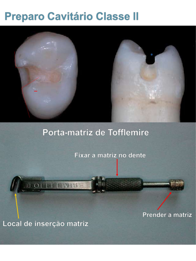 form-obj-0 (6) | PDF