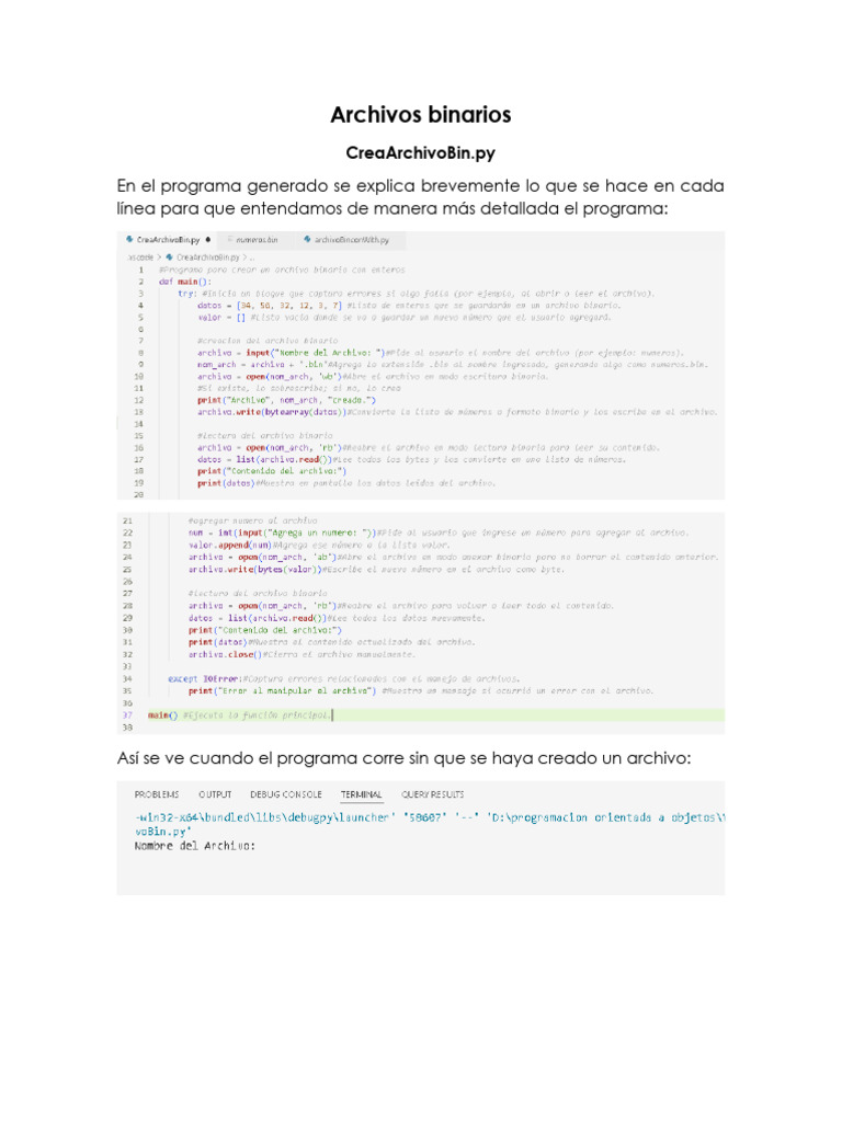 Archivos Binarios | PDF