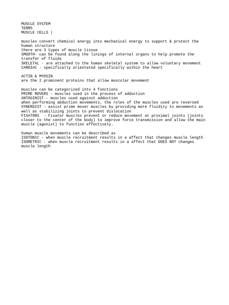 A&p Muscle System | PDF