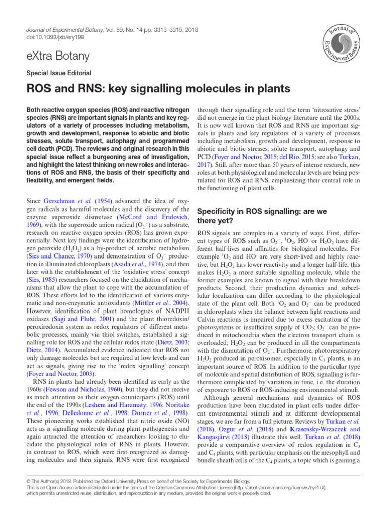 ROS and RNS, Key Signalling Molecules in Plants | PDF | Reactive Oxygen ...