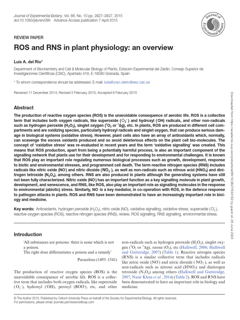 ROS and RNS in Plant Physiology Overview | PDF | Reactive Oxygen ...