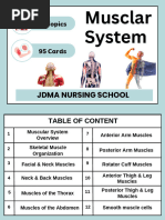 Derby Shoulder Instability Rehab Guide | PDF | Musculoskeletal System ...