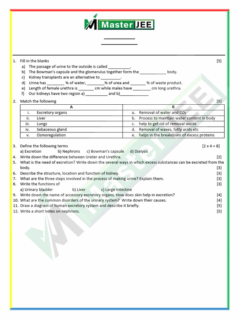 Class VII ICSE Excrtory System | PDF | Kidney | Urinary System
