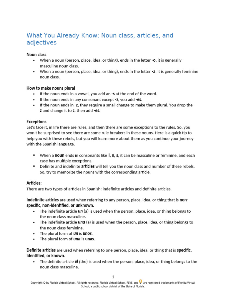 Wyak Nouns Articles Adjectives | PDF | Grammatical Gender | Noun