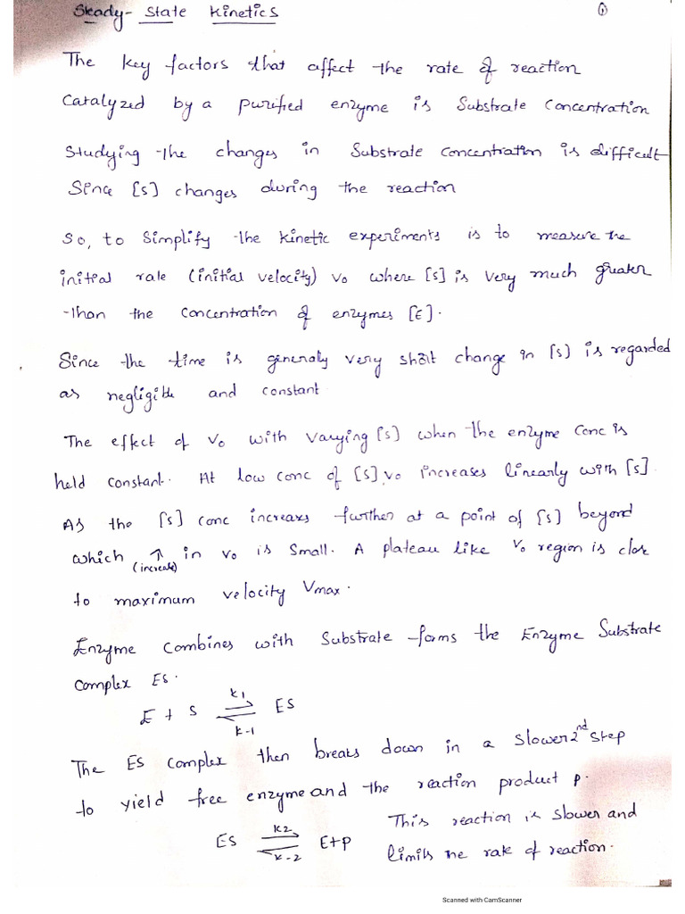 Steady State Kinetics and MM Equation | PDF