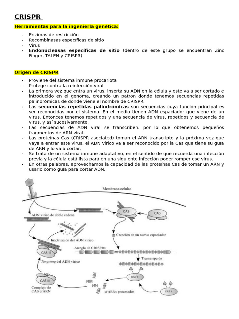 CRISPR | PDF | Crispr | Virus