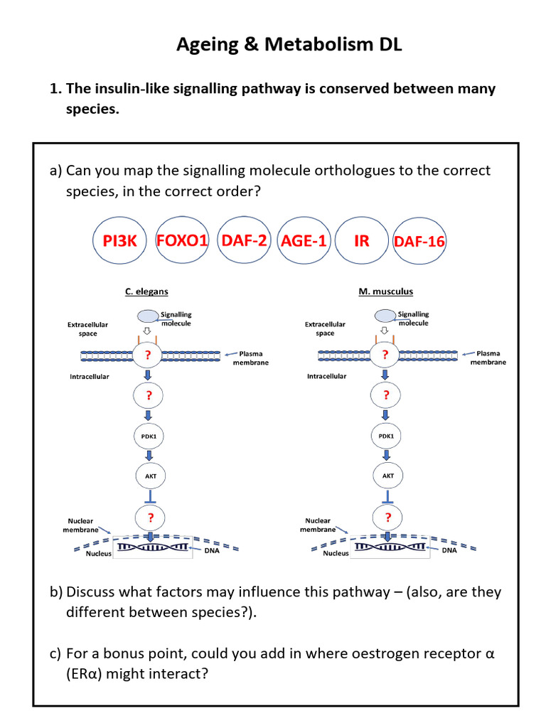 Gage EMS DL | PDF