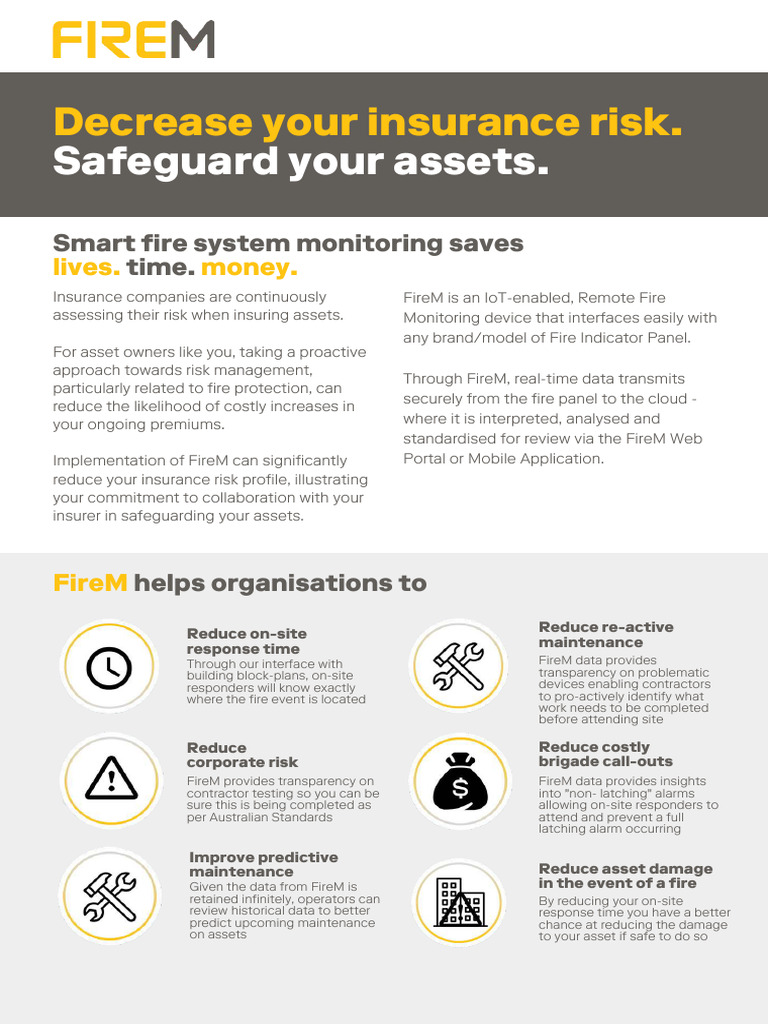 FireM Safeguard Assests Brochure | PDF | Risk | Risk Management