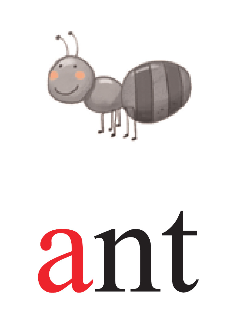 Ant | PDF