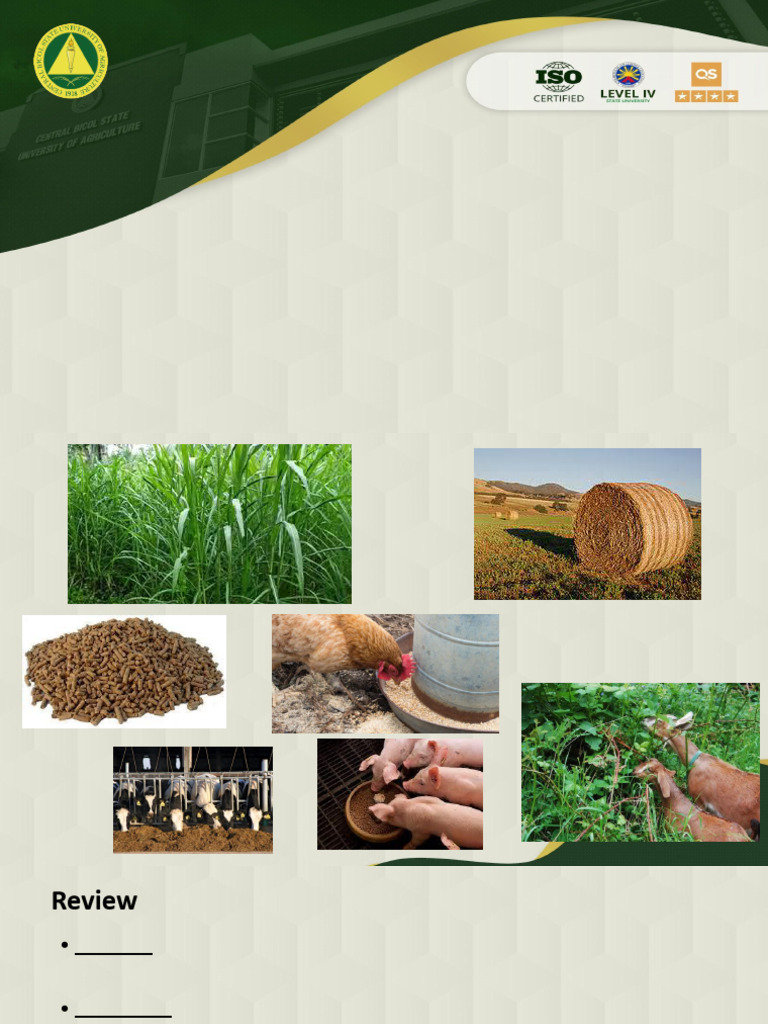 03._Animal_Nutrition_Feeds_and_Feeding | PDF | Mycotoxin | Fatty Acid